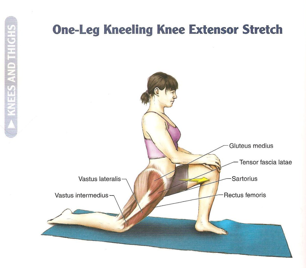 Hip Pain After Lunges And Squats The Hip Flexor Hip Pain After Lunges And Squats The Hip Flexor